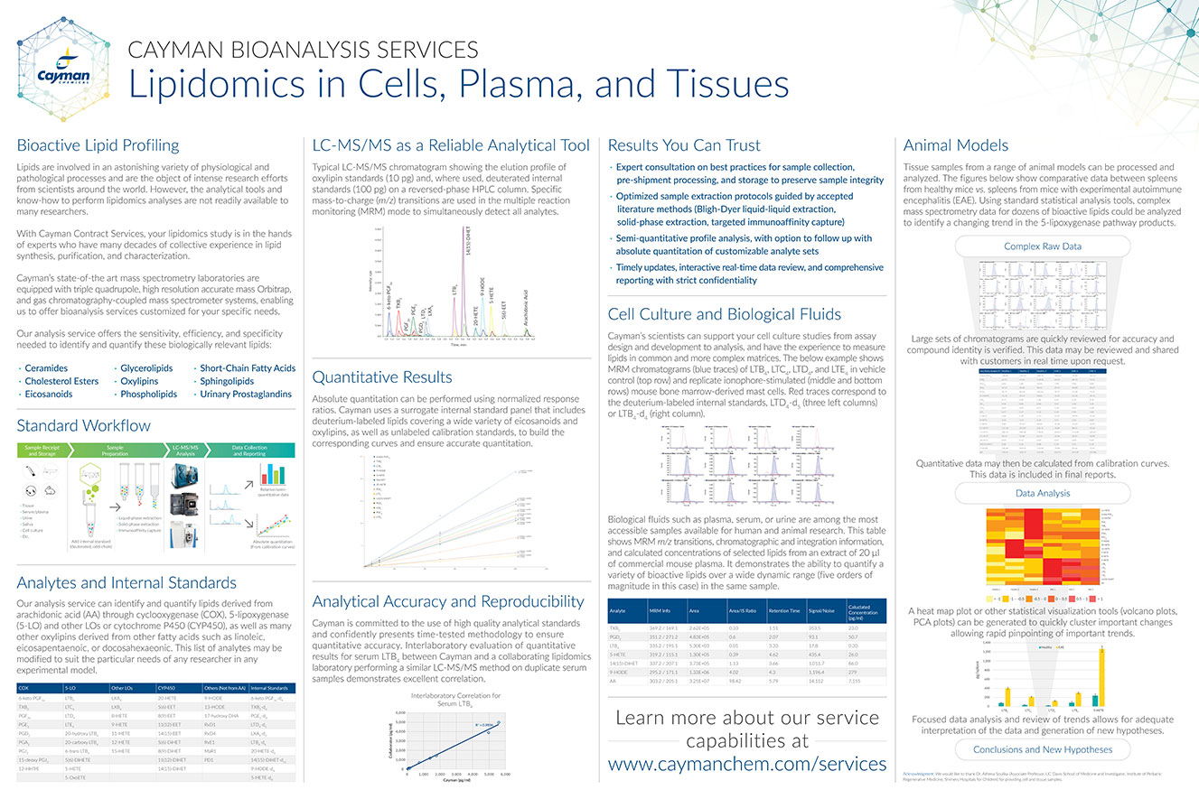Lipidomics Analysis Reveals Changes in the Regulation of Lipid Metabolism in a Surgical Bone ...